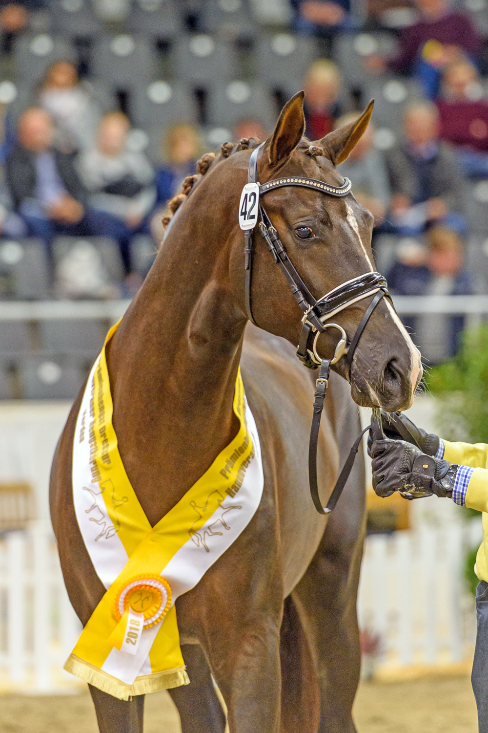 Bon Courage - Pretendenthoeve